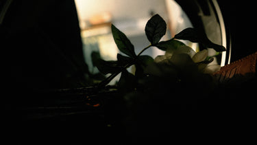 HOME - JVG – jvg.us